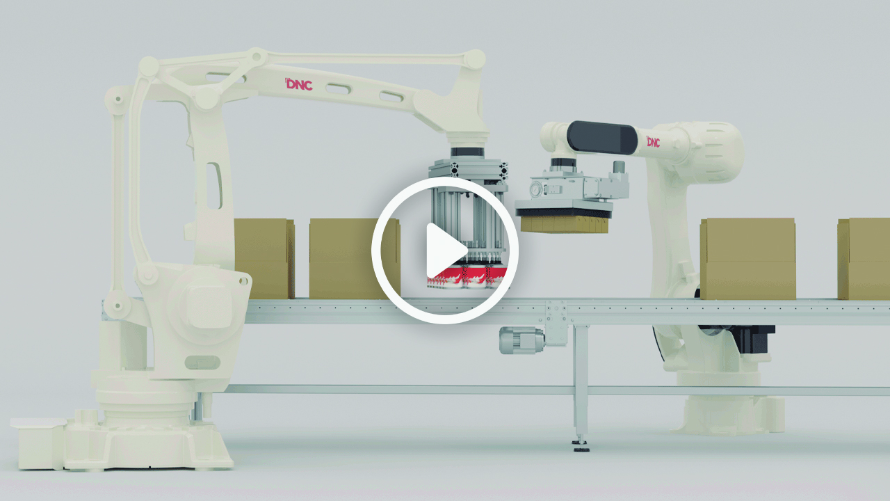 Case packing robot | An infinite world of applications